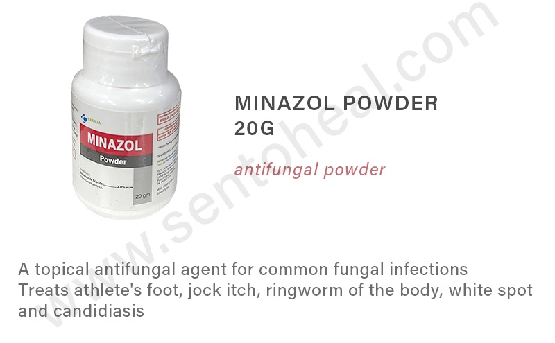 Minazol (Miconazole) anti-fungal powder 20g | Shopee Singapore