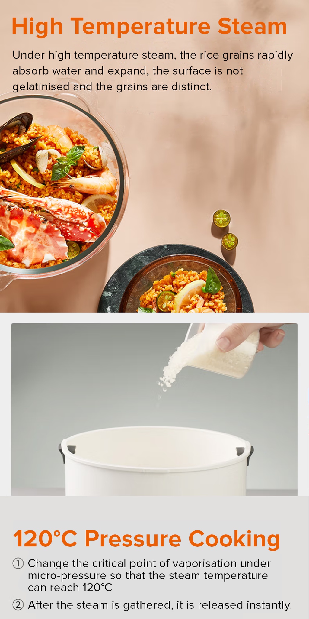 Cornell Steam Multi Cooker, Low Carb Rice Cooker and Waterless Soup ...