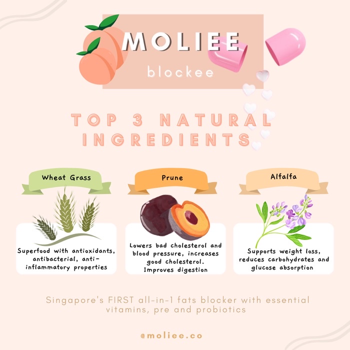 MOLIEE Cleansee | Blockee | Shakee (READY STOCKS) | Shopee Singapore
