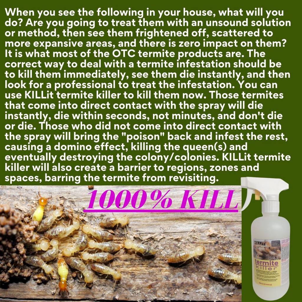Termite Killer (1000% KILL, Outperforms the competition) | Shopee Singapore