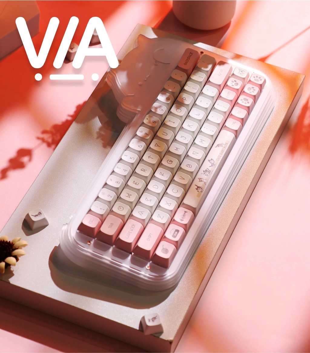 【In Stock】SKYLINE Mini Cat 64 Kit 60% Hot Swappable Acrylic RGB Wired ...