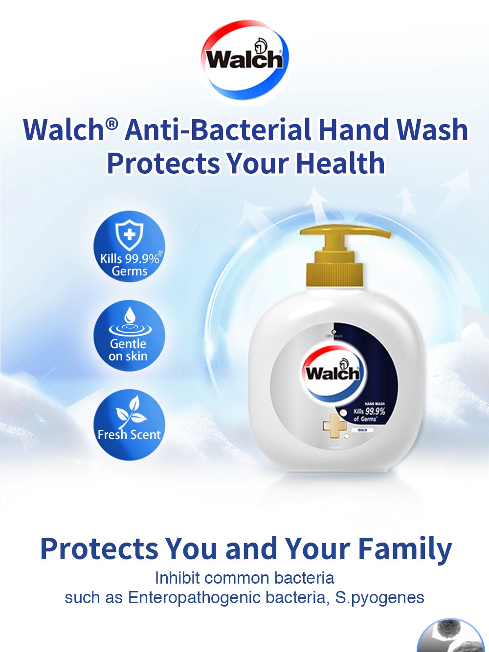 Walch® Anti-bacterial Hand Wash 400ml x 6 Bottles | Shopee Singapore