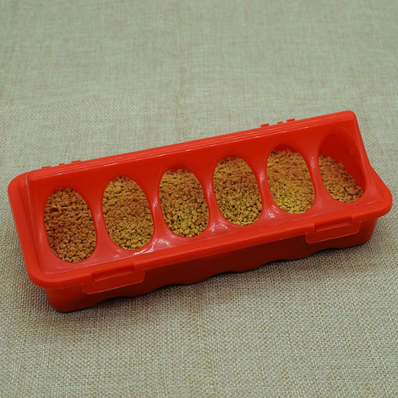 Rutin Chicken Feeding Trough Chicken Automatic Pet Feeder Chicken ...