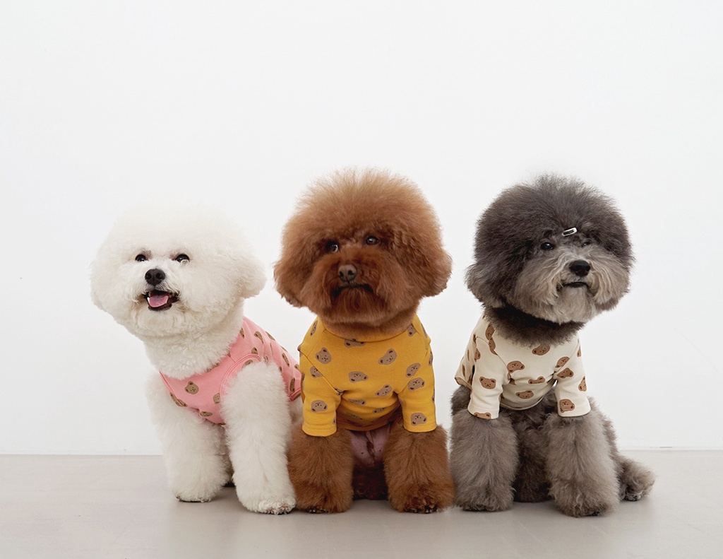 Puppy Cute Cartoon Squirrel Print Vest T-Shirt Round Neck Cat Teddy ...