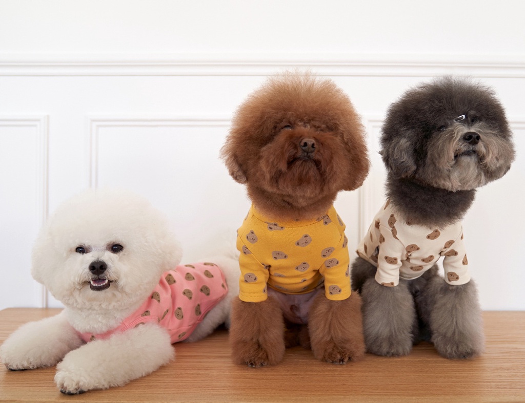 Puppy Cute Cartoon Squirrel Print Vest T-Shirt Round Neck Cat Teddy ...