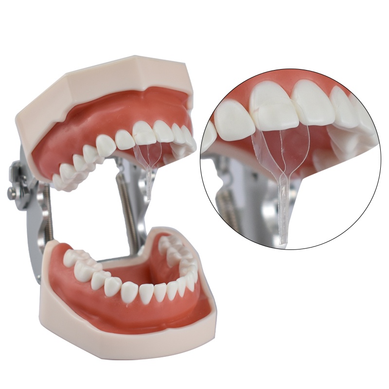 Dental Self-Adhesive Transparent Sectional Matrix Dental Matrix Twin ...