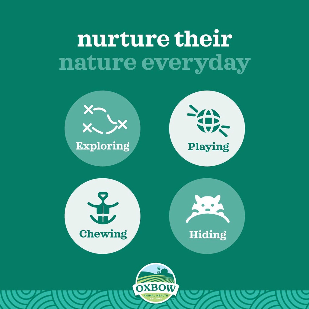 Oxbow Enriched Life Deluxe Hay Wrap Small Animal Natural Chews | Pet ...