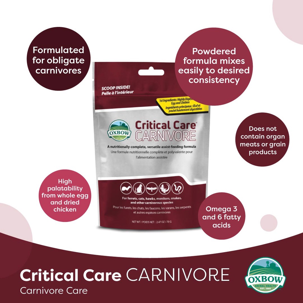 Oxbow Critical Care Carnivore Small Animal Recovery Food 70g ...