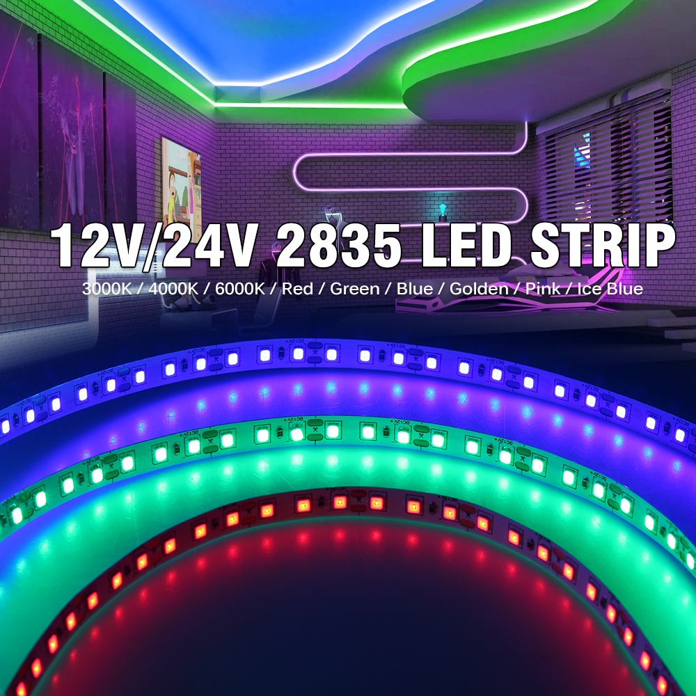 IN Stock Multicolor Led Strip Light 5M 10M 2835 120led/m DC12V 24V Red ...