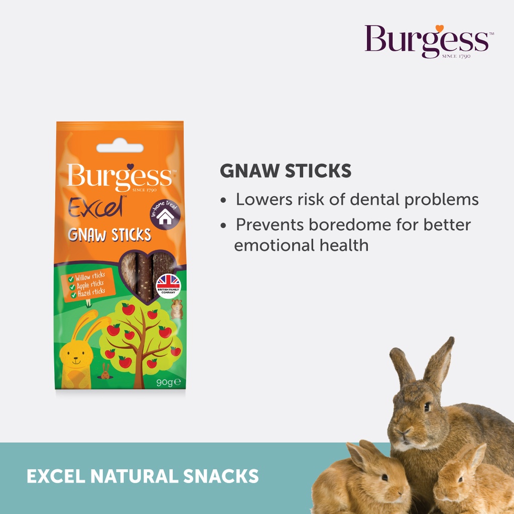 Burgess Excel Natural Snacks for Small Animal | Rabbit Treats, Hamster ...
