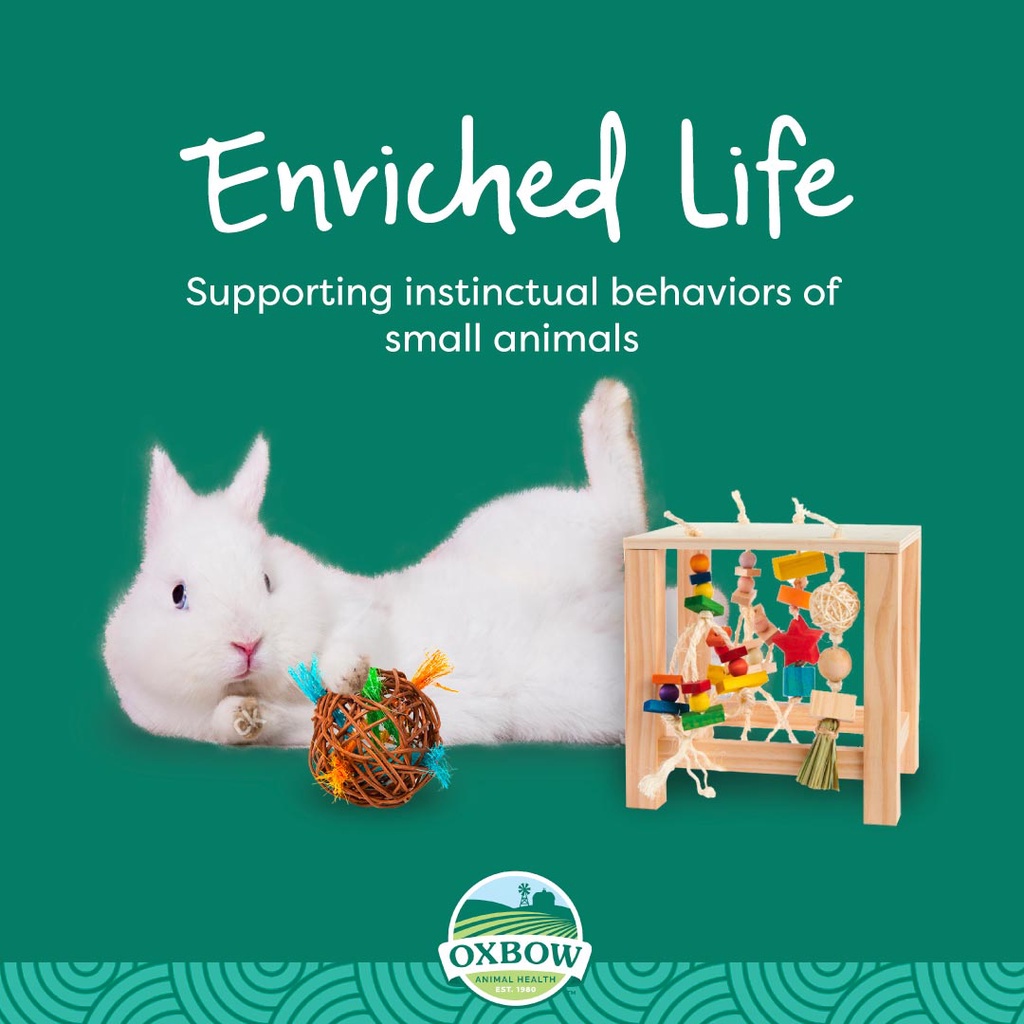 Oxbow Enriched Life Deluxe Hay Wrap Small Animal Natural Chews | Pet ...