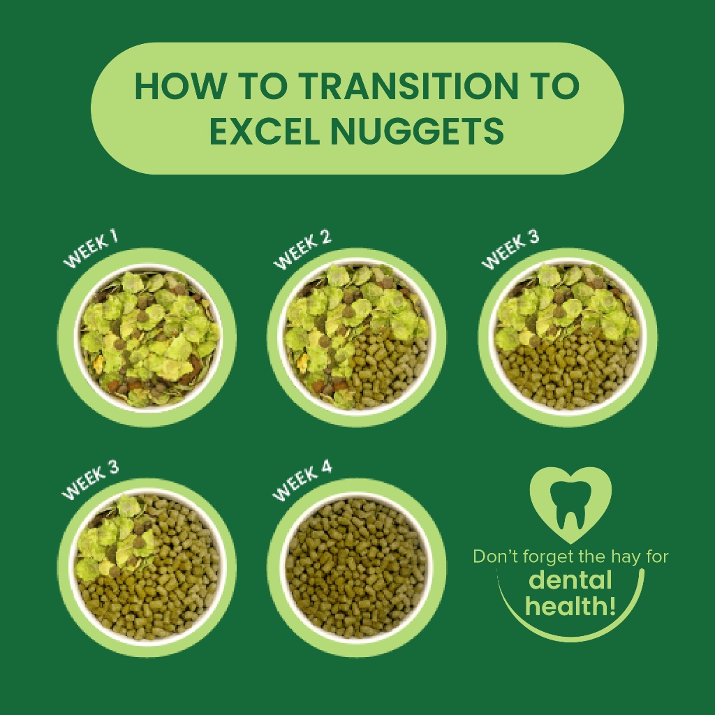 Burgess Excel Rabbit Nuggets 1.5kg | Vet-Recommended Tasty Rabbit ...