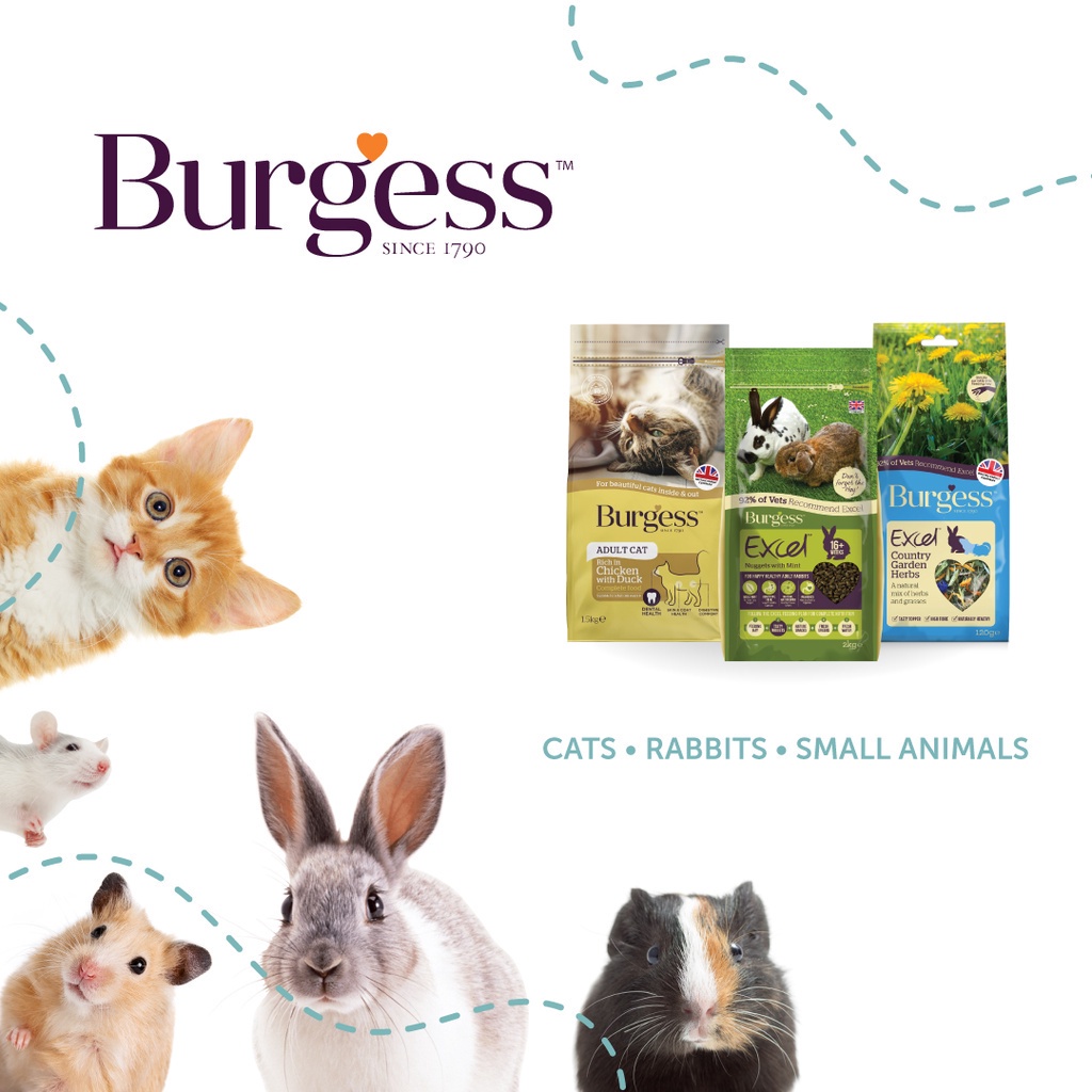 Burgess Excel Natural Snacks for Small Animal | Rabbit Treats, Hamster ...
