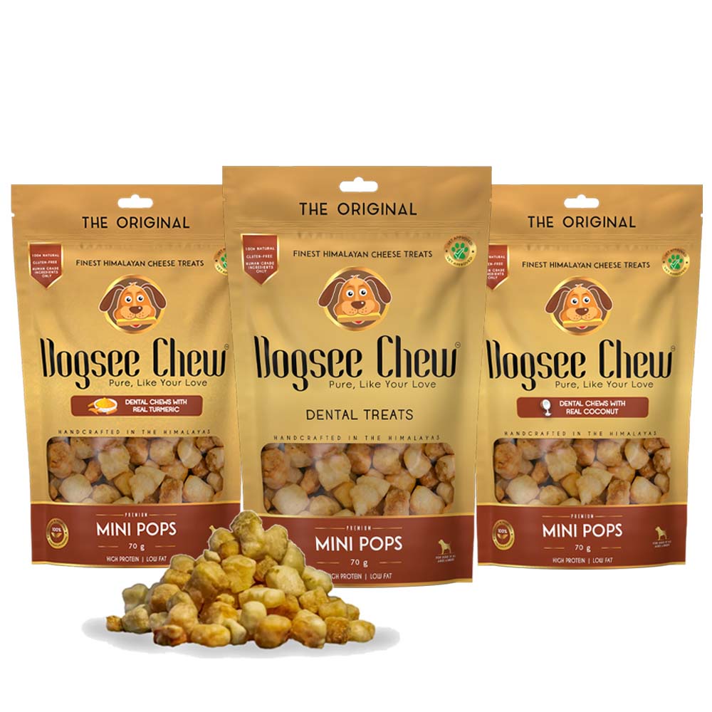 Dogsee Chew Low Fat High Protein Dog Dental Training Treats Coconut ...