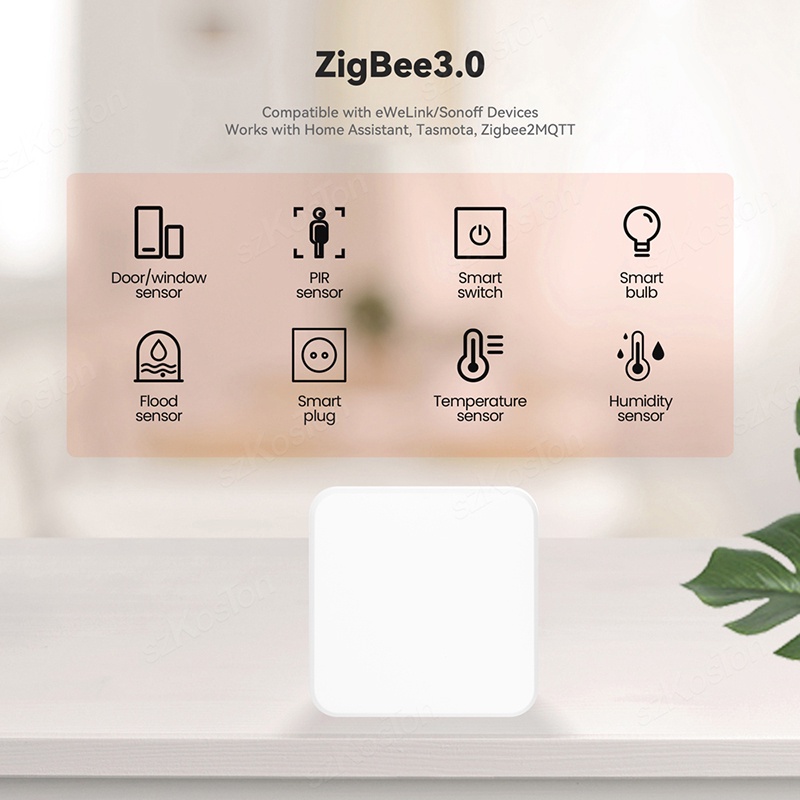 ZigBee 3.0 Wired Gateway Hub eWeLink APP Ethernet Bridge Zigbee2MQTT ...