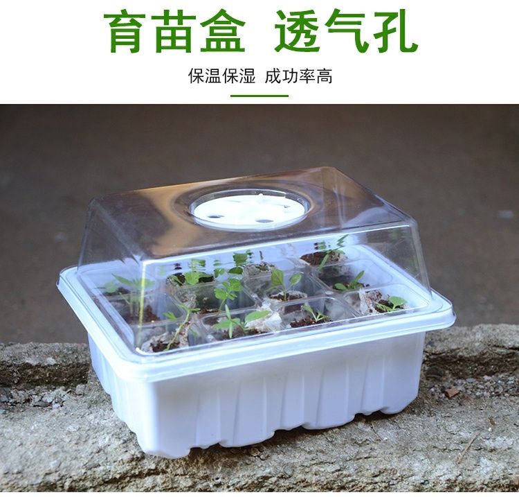 Nursery Box Plastic Cell Tray Breeding Cutting Box Small Seedling ...