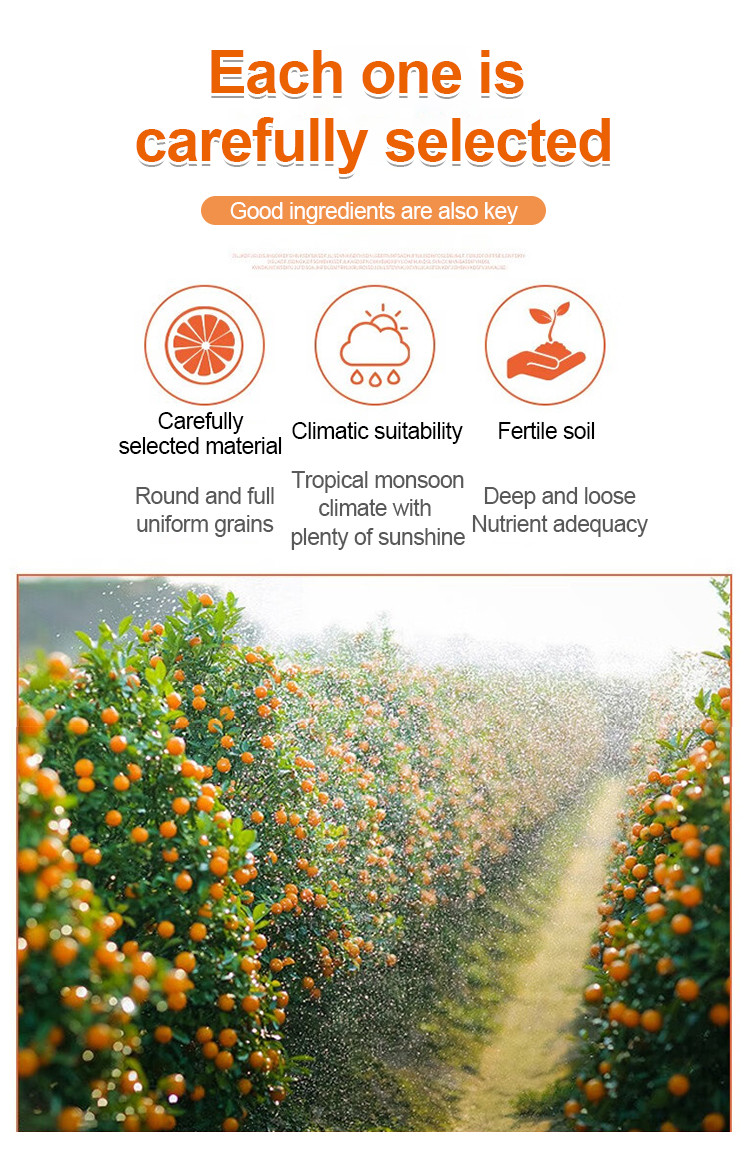【Relieving cough and reducing phlegm】Dried licorice kumquat Healthy ...