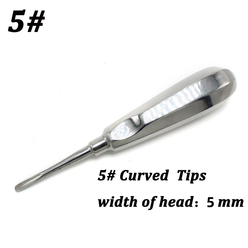 Dental Elevator Tooth Elevator Stright Curved Root Elevator Dentist ...