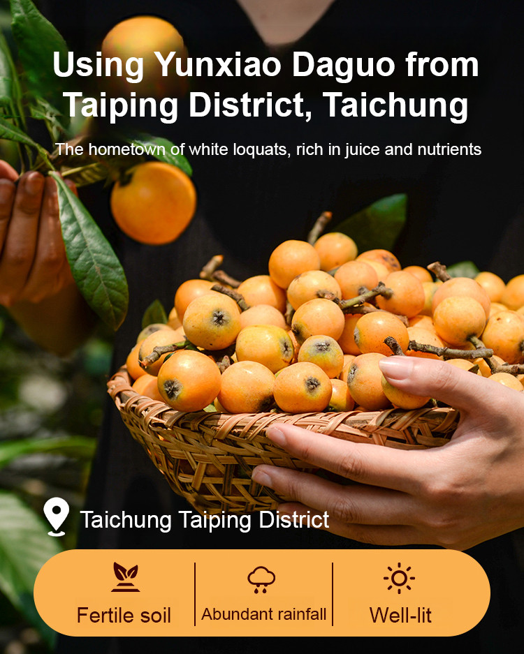 Seedlessness Sour and Sweet Bamboo Salt Dried Pei Pa Koa Candied Fruits ...