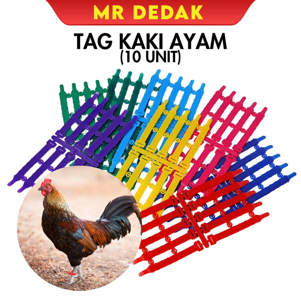 [10 UNITS] POULTRY FOOT TAGS | Adjustable Chicken Leg Ring | ADJUSTABLE ...