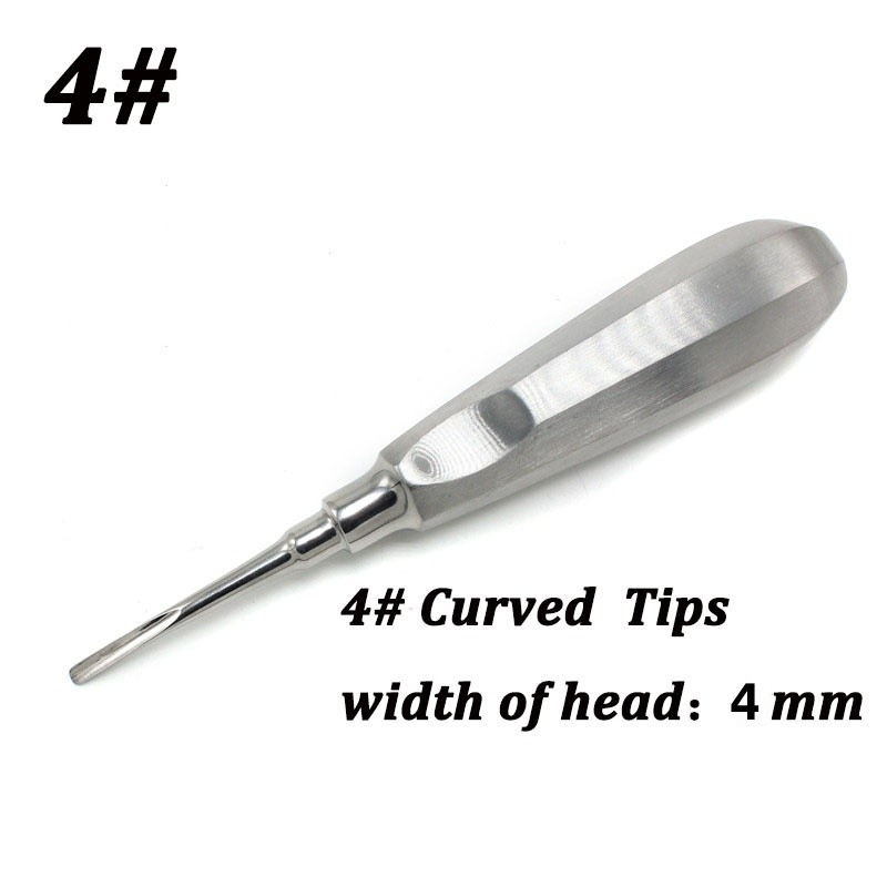 Dental Elevator Tooth Elevator Stright Curved Root Elevator Dentist ...