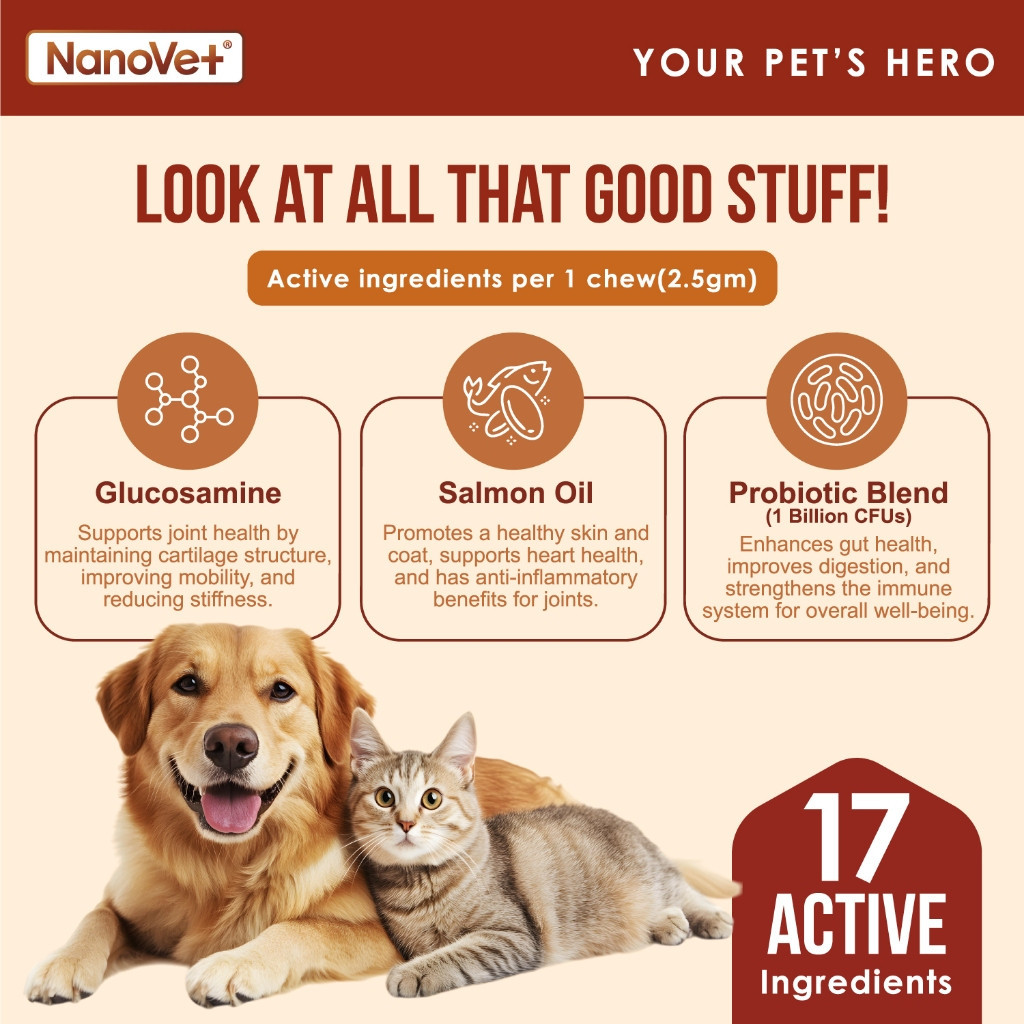 Nanovet Pet Multivitamin Chews For Cat and Dog (45chews / 120chews ...