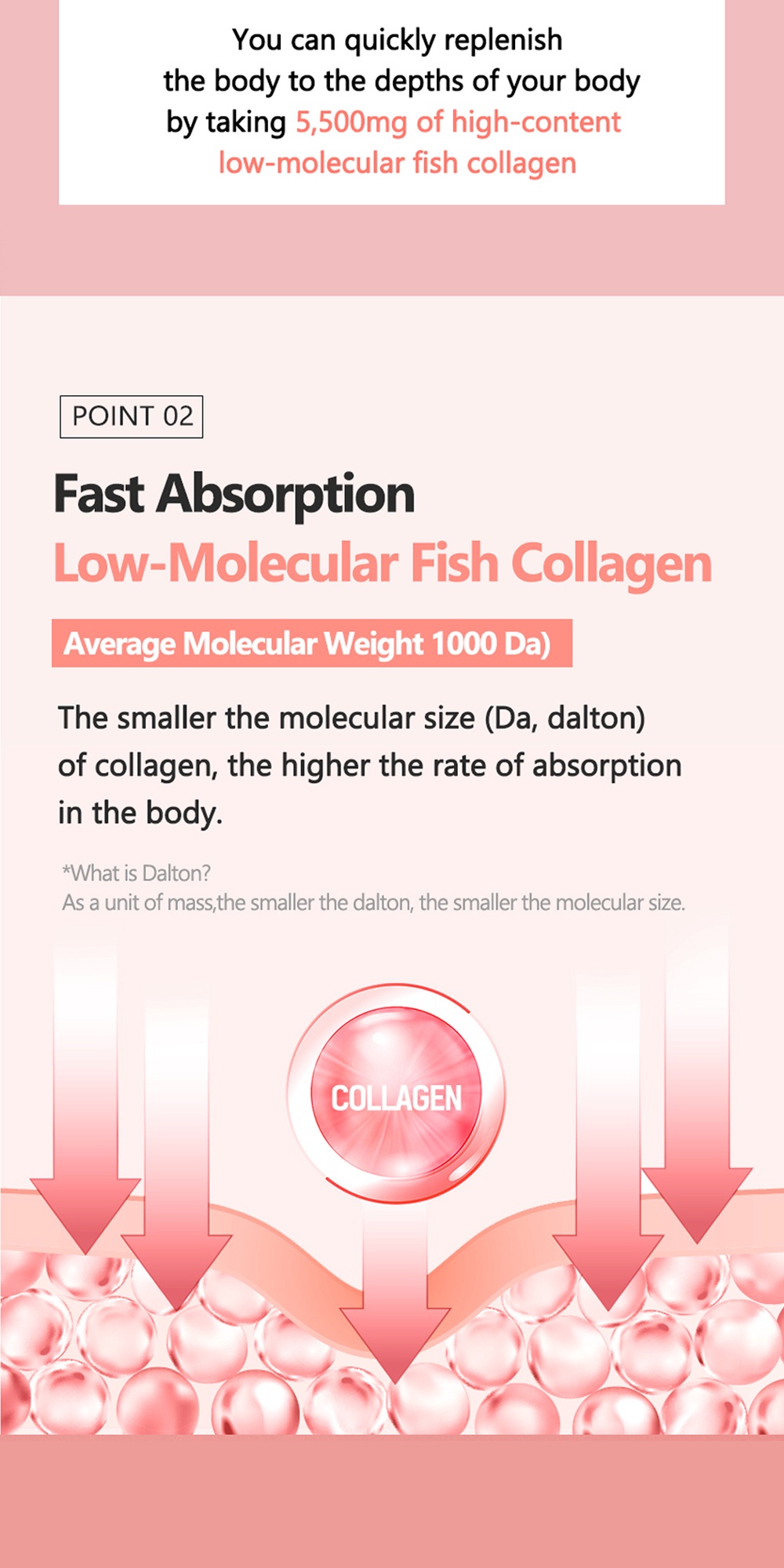 NUTRIONE BB LAB The Collagen 5500 (50ml x 14 bottles / BOX) | Shopee ...