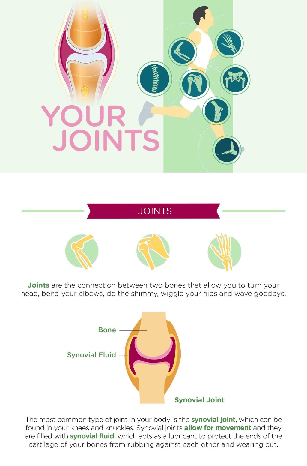 [LAC JOINTS] Joint Protec Plus (16 Fl. Oz) / Joint Protec Flex (120 ...