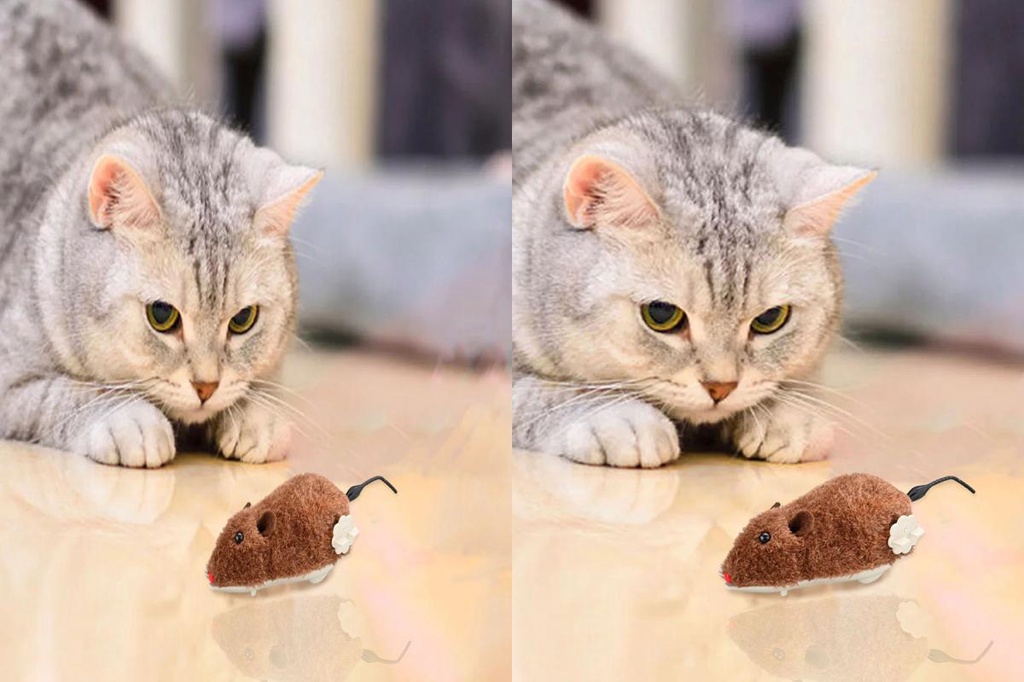 [WMP] Interactive Cat Toy Cat Toy Mouse Shape Interactive Clockwork Cat ...