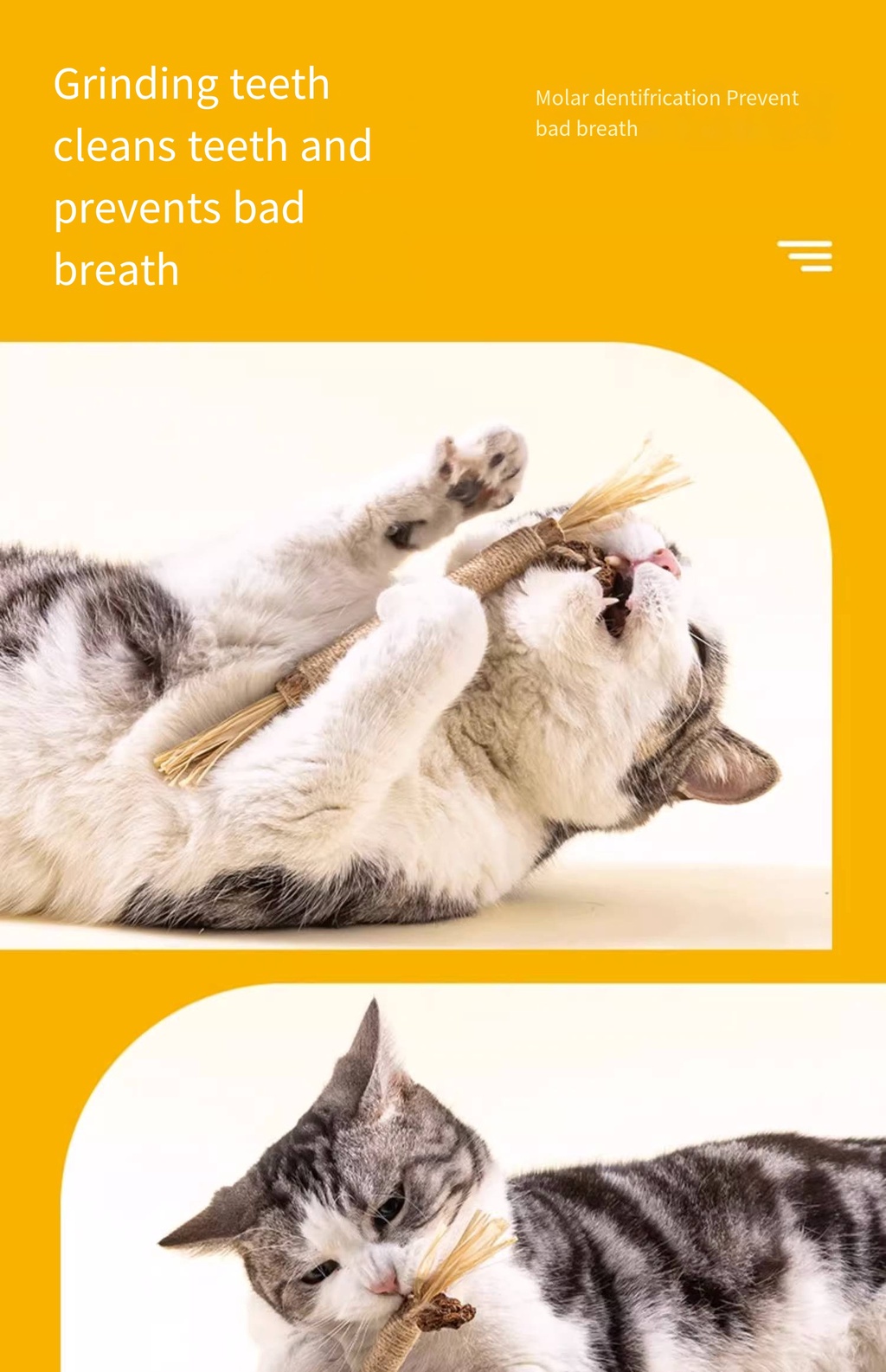 Wooden Celestial Cat Toy - Teething Stick for Cat Molar, Natural Wood ...