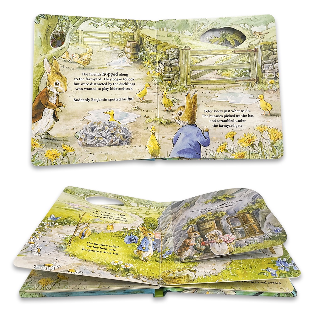 Usborne Peter Rabbit: The Lost Hat A Peep Inside Tale Picture Books for ...