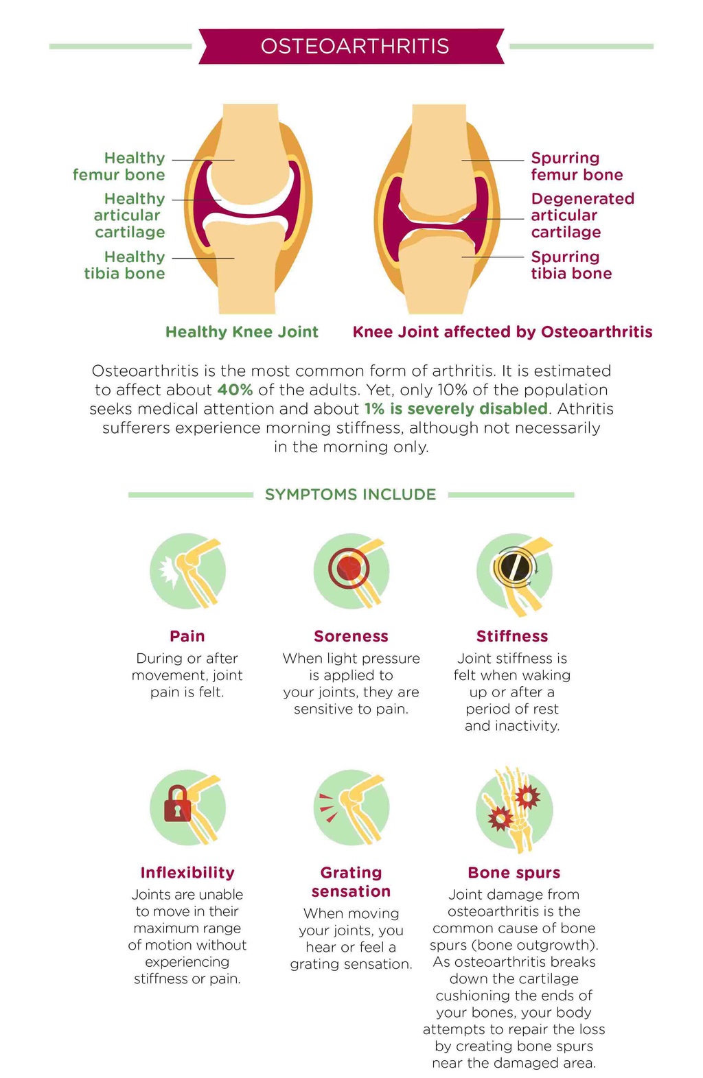 [LAC JOINTS] Joint Protec Plus (16 Fl. Oz) / Joint Protec Flex (120 ...