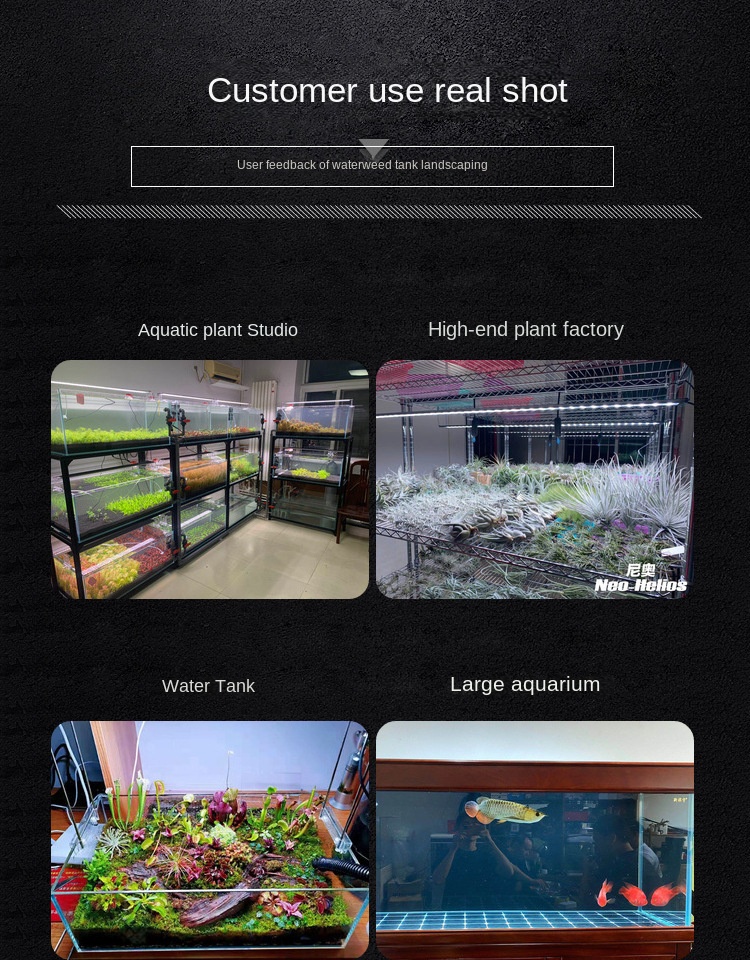 Neo-Helios XP series Full Spectrum WRGB LED Light for Aquatic Plants ...