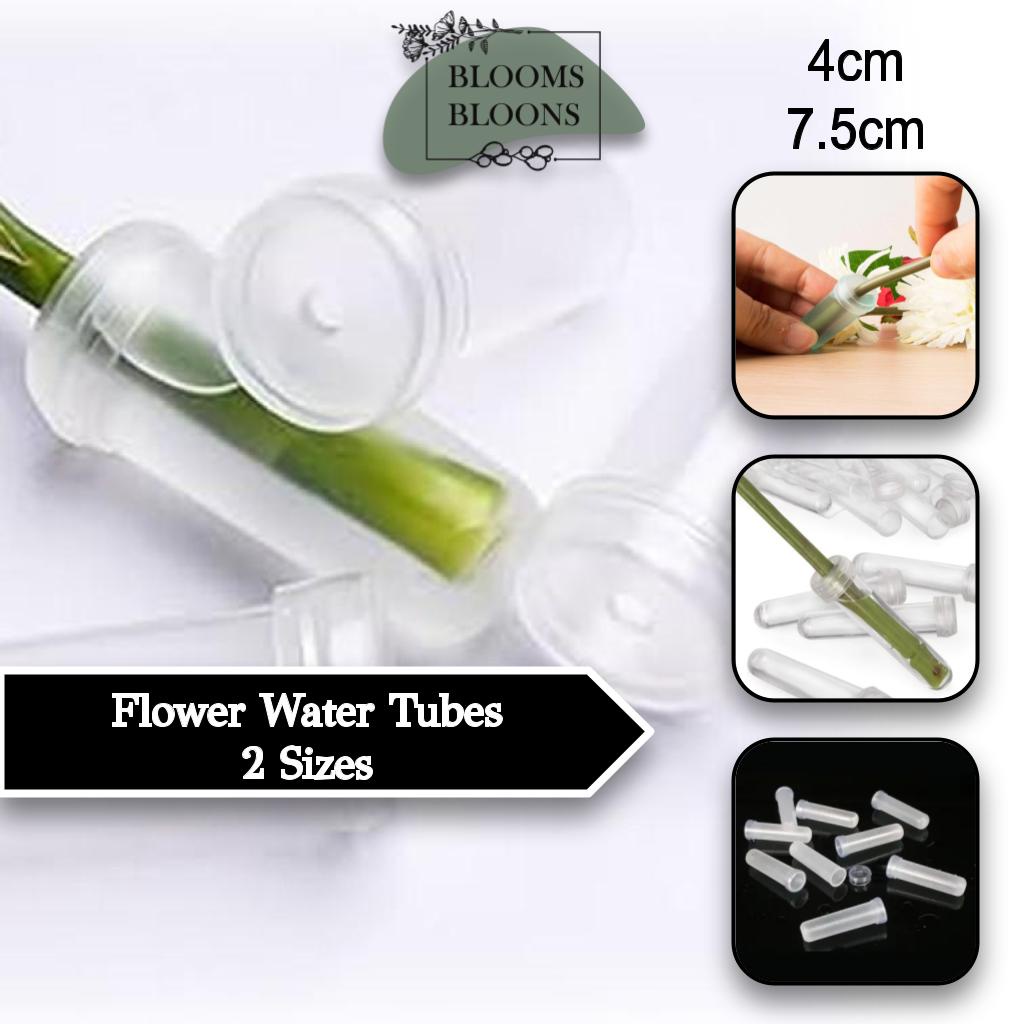 [SG] Water Flower Tube | Retaining Water Single Stem Root | Shopee ...