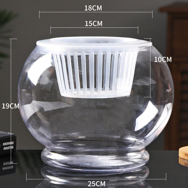 Creative Hydroponic Plants Transparent Glass Vase Container Dill Potted ...