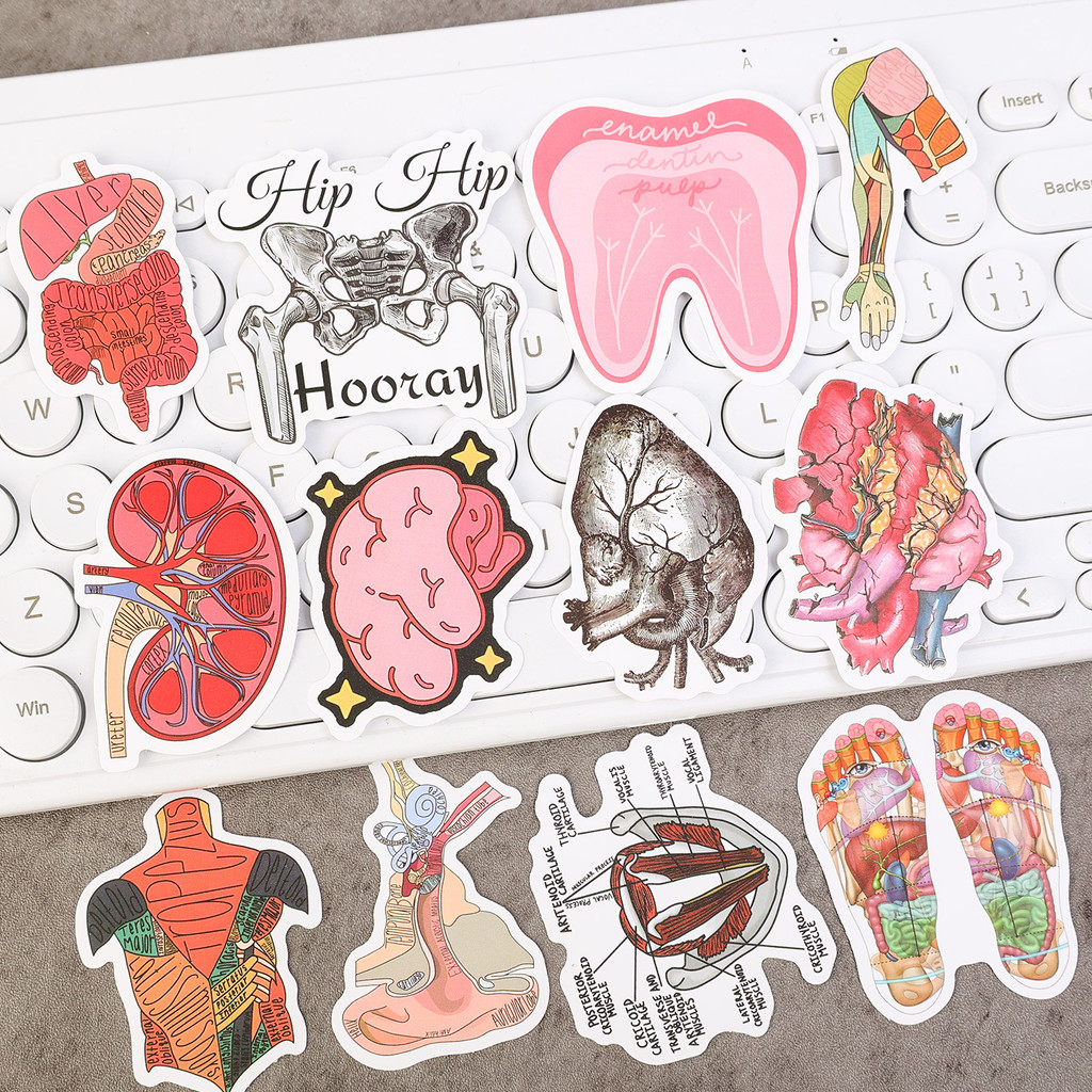 50Pcs Cartoon Human Organs Scrapbook Sticker - Teeth Heart Brain ...