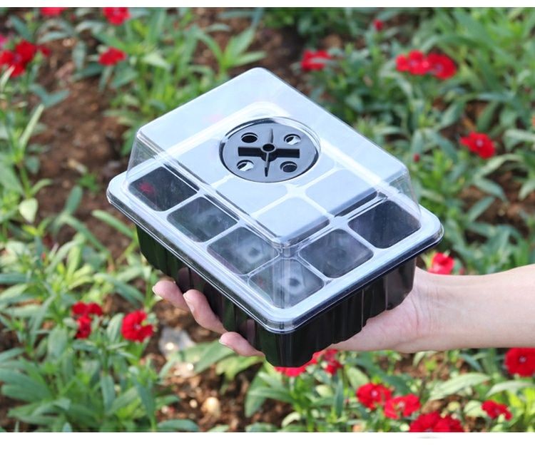 Nursery Box Plastic Cell Tray Breeding Cutting Box Small Seedling ...