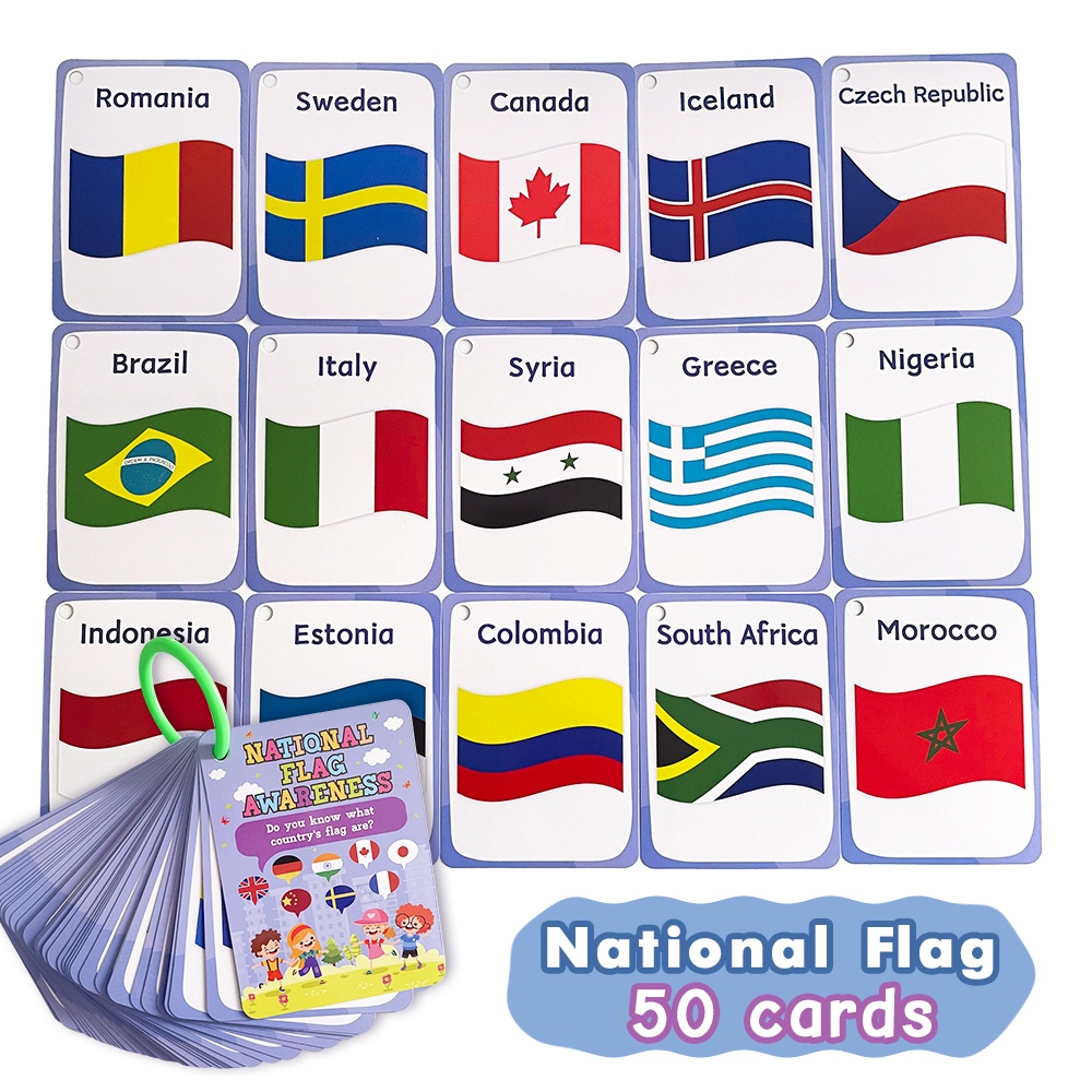 50 Pcs National Flags Flash Cards Homeschool Montessori Educational ...