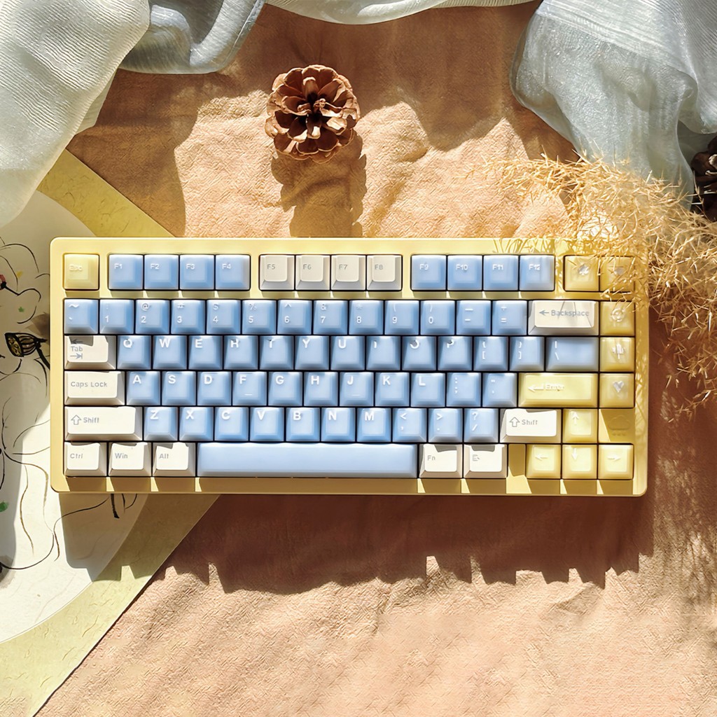 Yongqiu Translucnet keycaps Blue Pink Double Shot ABS+PBT Cherry ...