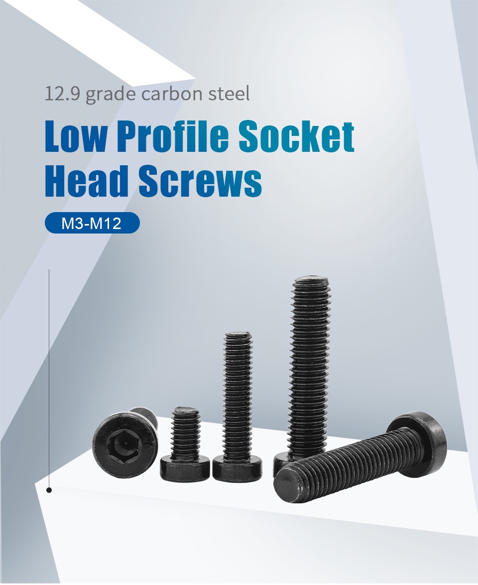 NINDEJIN 2-40pcs Low Profile Hex Socket Cap Head Screw M3 M4 M5 M6 M8 ...