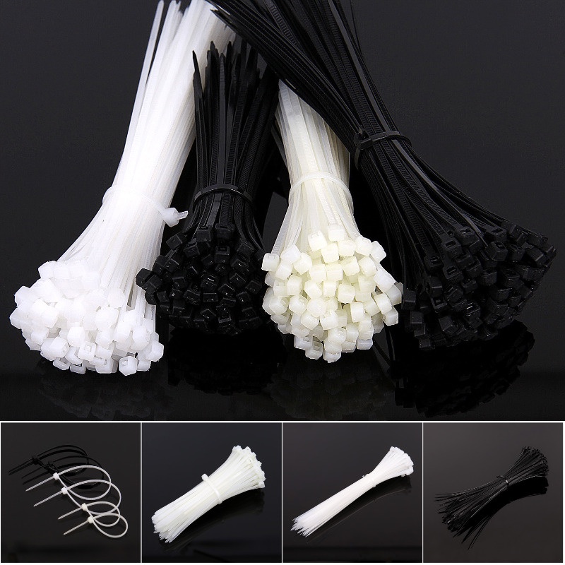 100 Pcs Label Cable Ties Fixed Cable Tie / Hole Mount Nylon Zip Ties ...