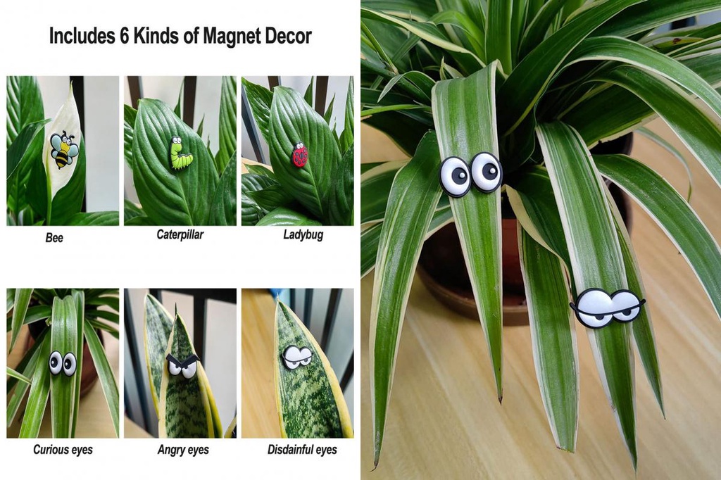 greatdream| Unique Plant Accessories Monstera Magnet Eyes Adorable ...