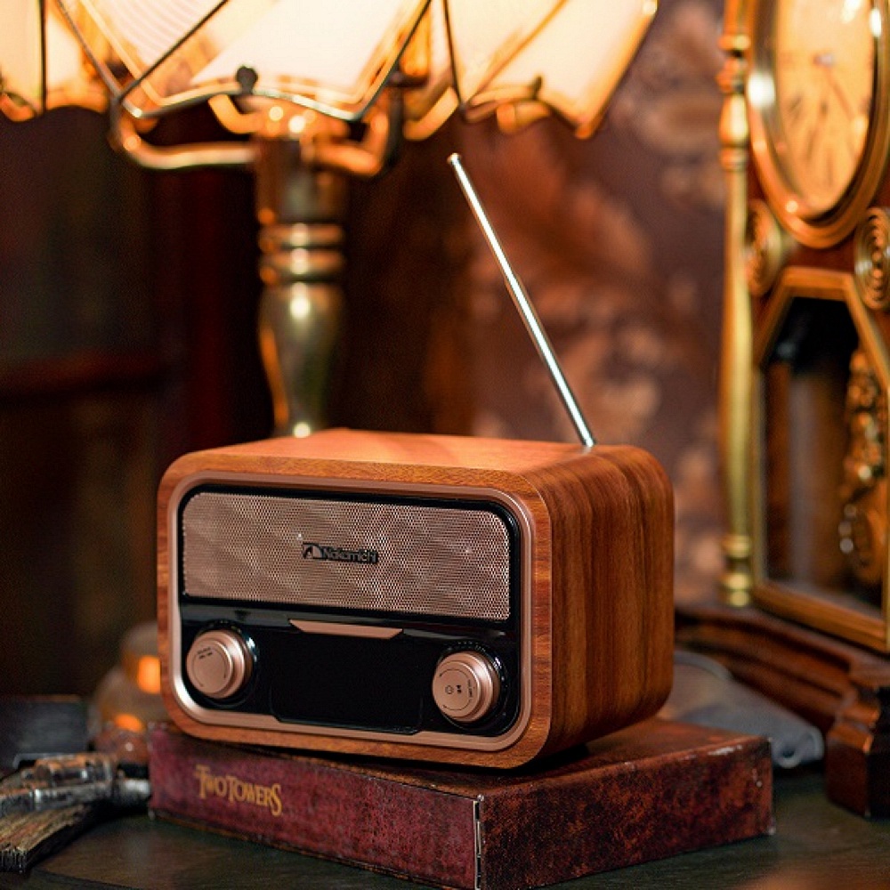 Nakamichi Soundbox Lite Bluetooth Speaker With Radio FM | Shopee Singapore