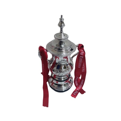 THE EMIRATES FA CUP TROPHY 32cm LIVERPOOL MANCHESTER CITY | Shopee ...
