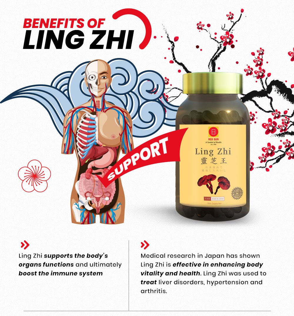 [Limited Bundle] RED SUN Japan Ling Zhi | 150 Capsules x 2 Bottles ...