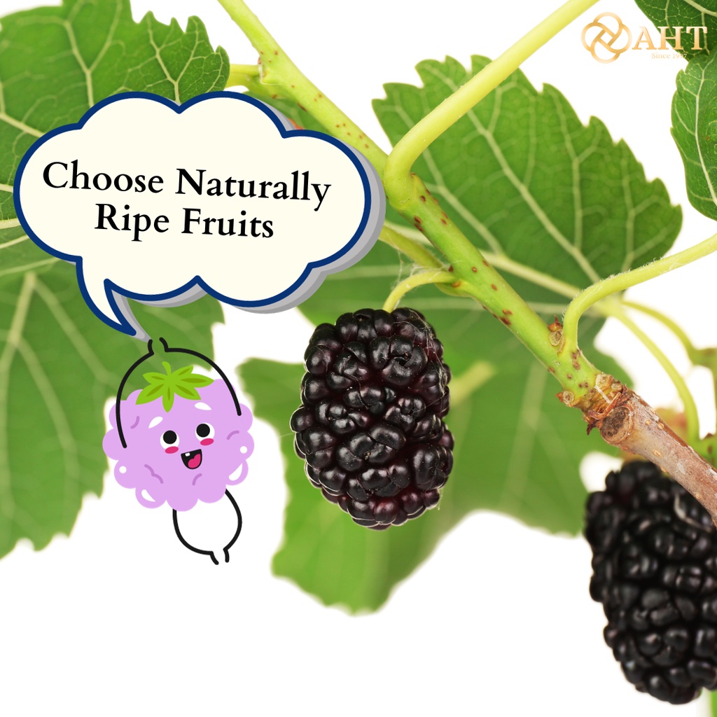 AHT Dried Black Mulberry 200g 安辉堂 桑葚干 黑桑葚干 Dried Mulberries Dried Fruit ...