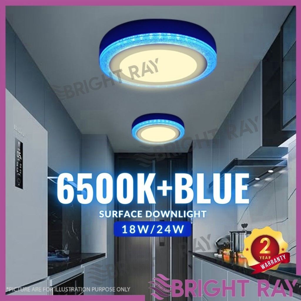6500K+ BLUE Surface Downlight LED Flush Mount Panel Ceiling Light ...