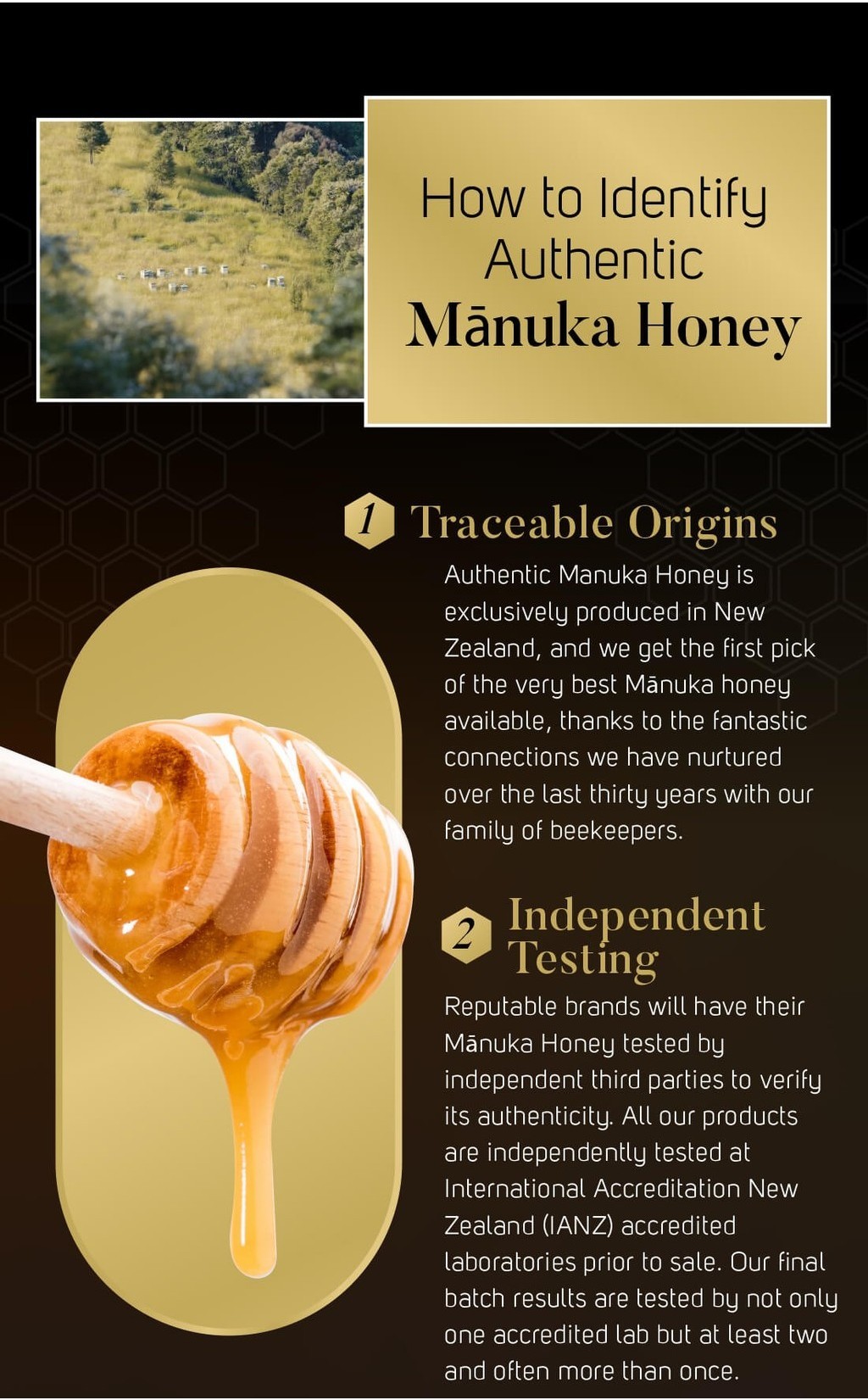 Manuka South Manuka Honey UMF 5+ MGO83 (250g) Authentic NZ Manuka Honey ...