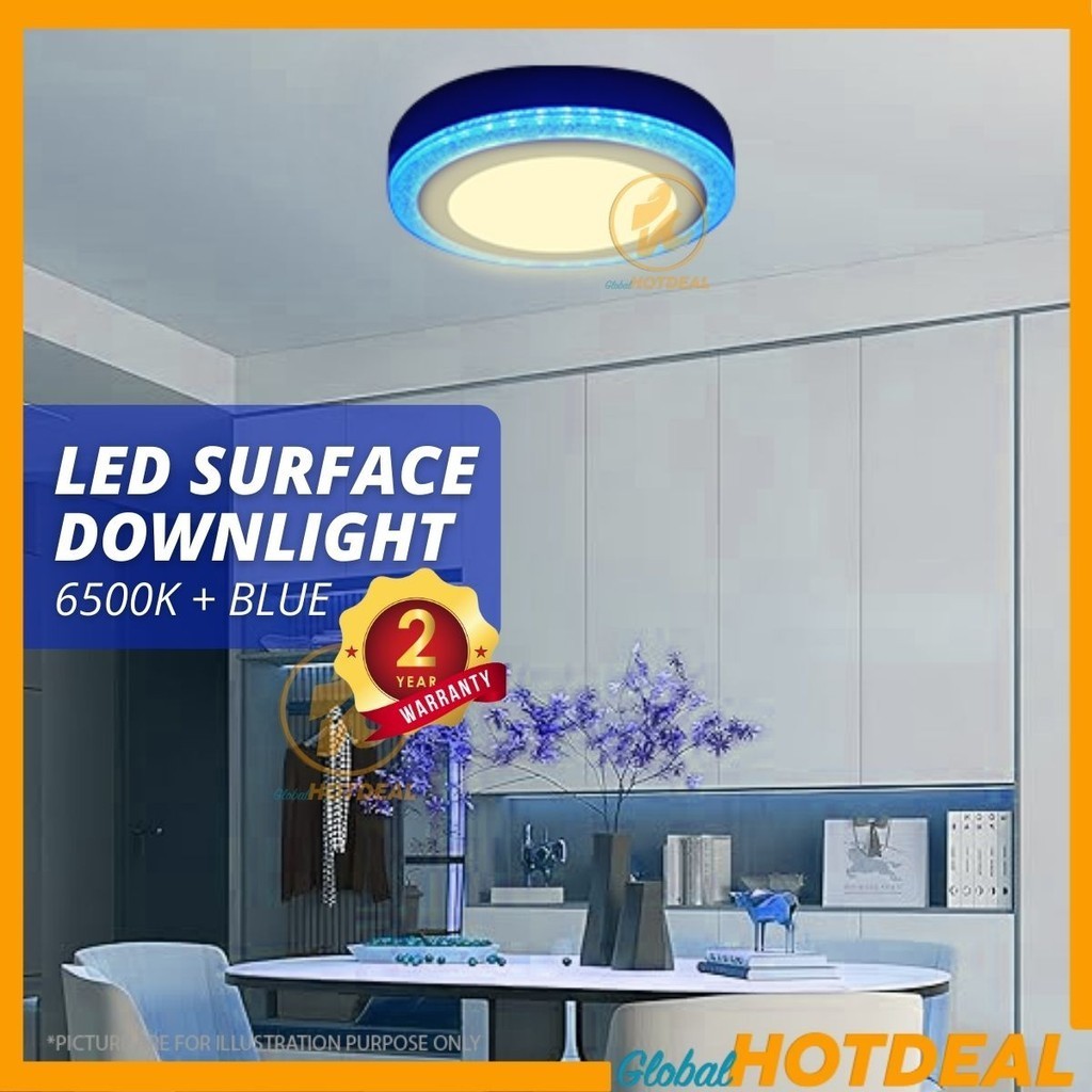 6500K+ BLUE Surface Downlight LED Flush Mount Panel Ceiling Light ...