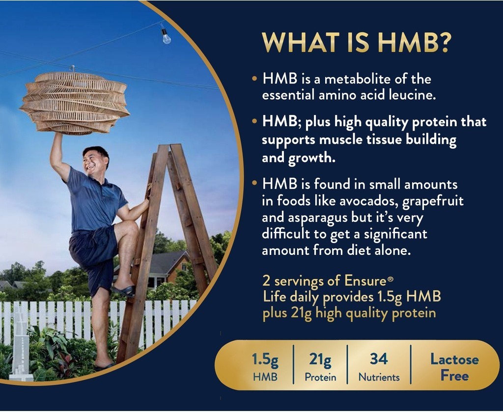 [Bundle of 2] Ensure Nutrivigor Powder Adult Nutrition - Vanilla 850g | Shopee Singapore